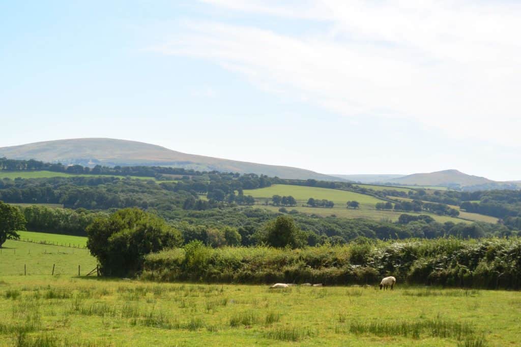 West Devon CVS | Supporting Community Action in West Devon